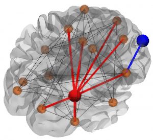 Measure List - BRAPH